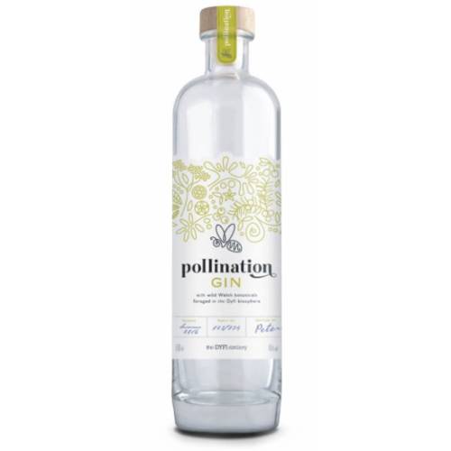 Dyfi Pollination Gin NV - 750ML – Liquor To Ship